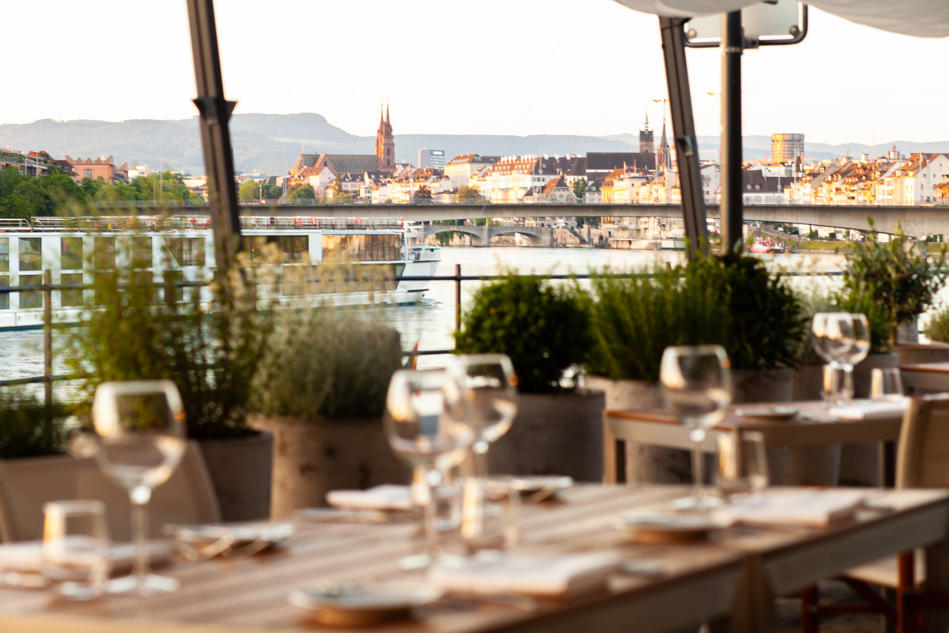 «roots» reopening for lunch from 19 august – roots